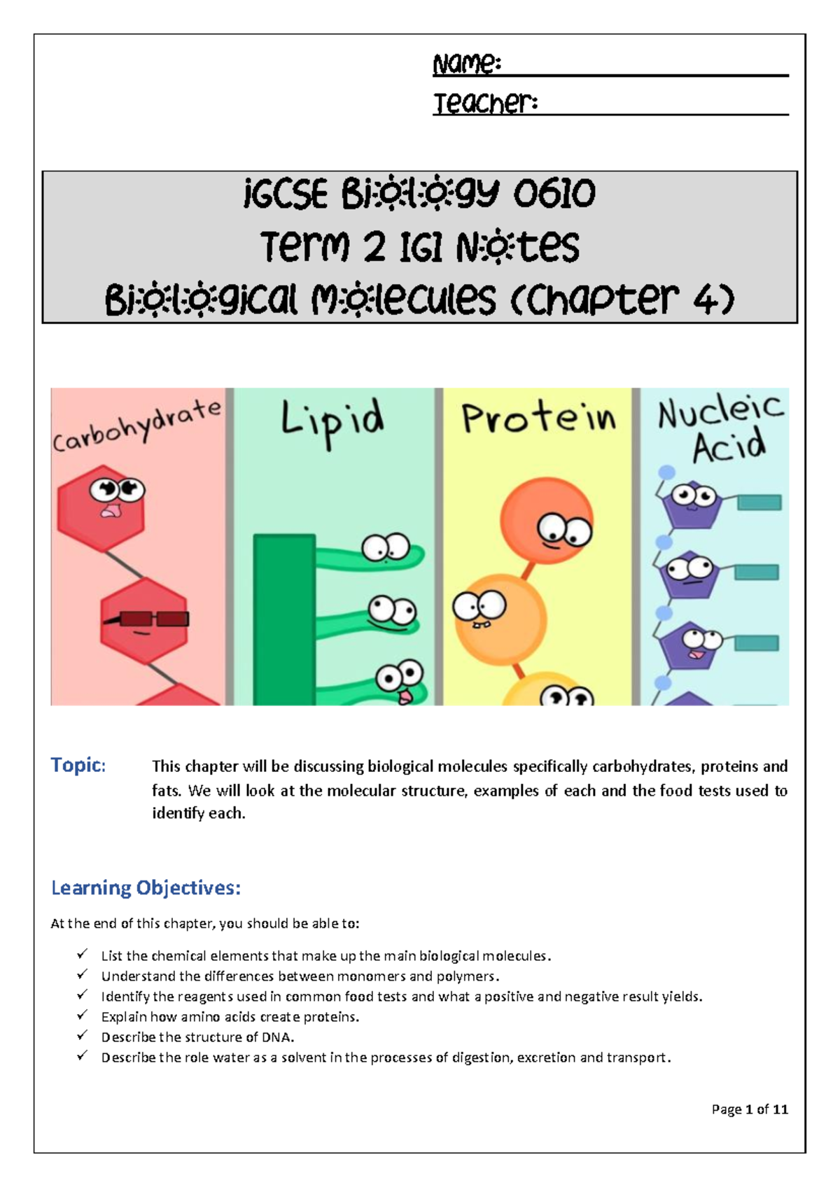 Biological Molecules - IGCSE Biology 0610 Term 2 Chapter 4 Notes - Studocu