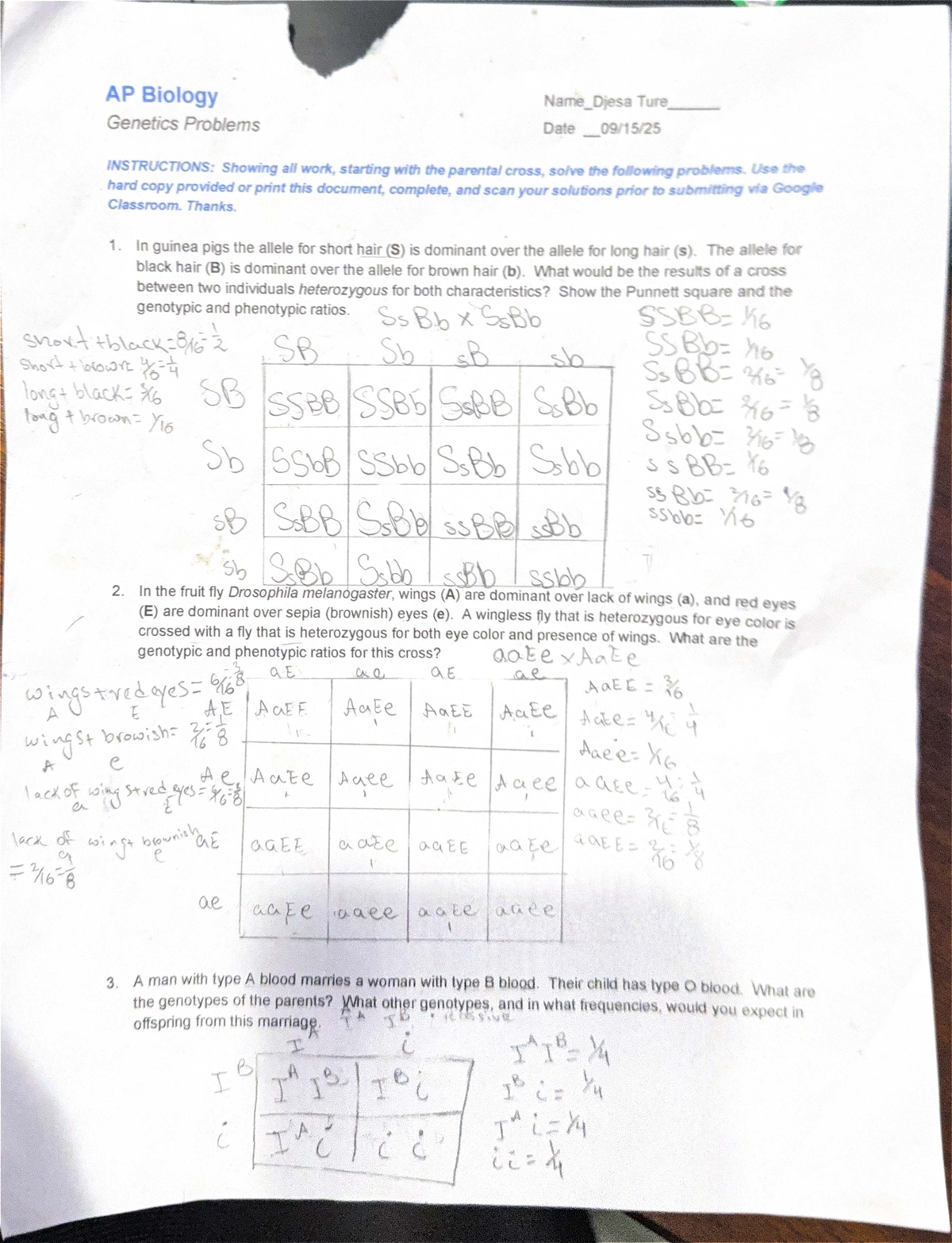 AP Biology K6 Genetics Problems and Solutions - Studocu