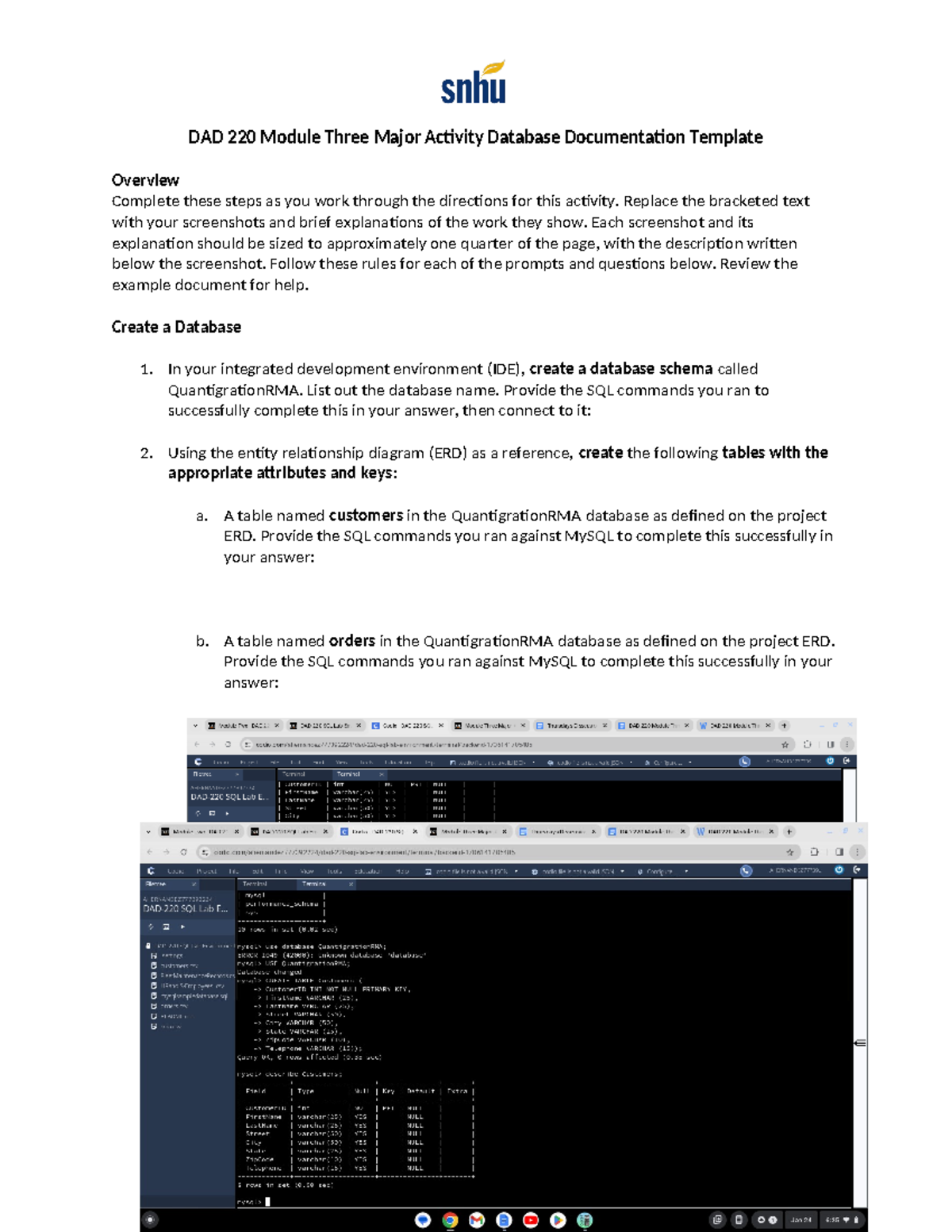 DAD 220 Module Three Major Activity Database Documentation Template - Replace the bracketed text ...