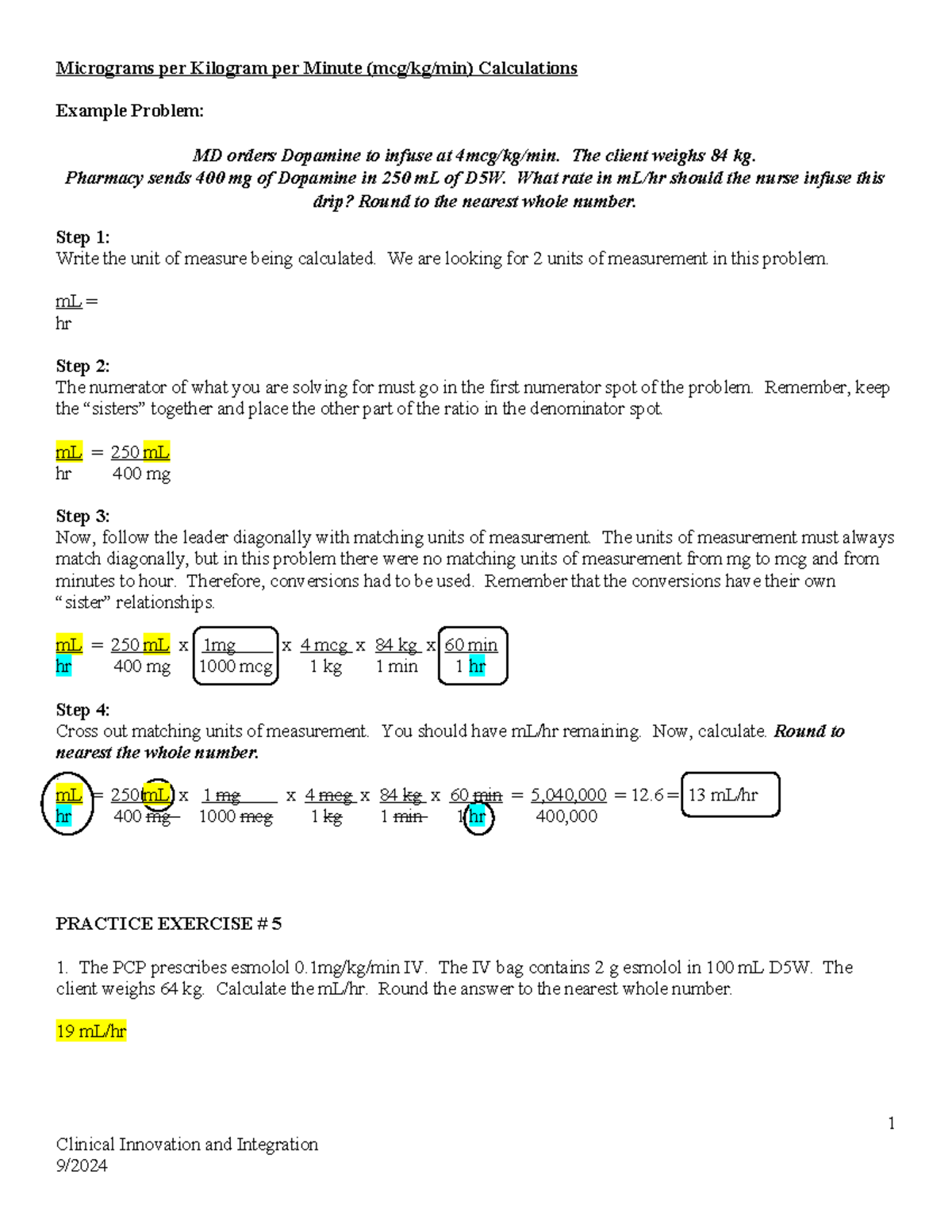 Critical Care IV Calculations: Dosage & Infusion Rates - Studocu