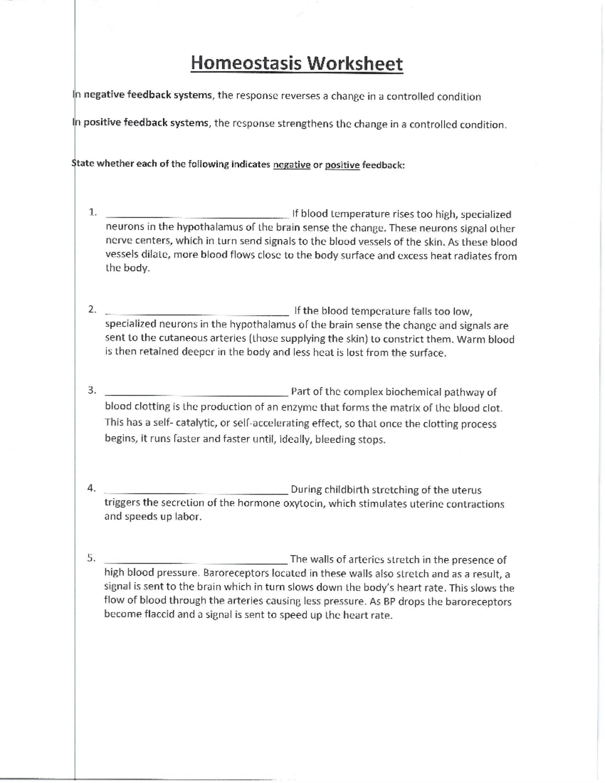Homeostasis Worksheet: Exploring Feedback Mechanisms and Body Systems ...