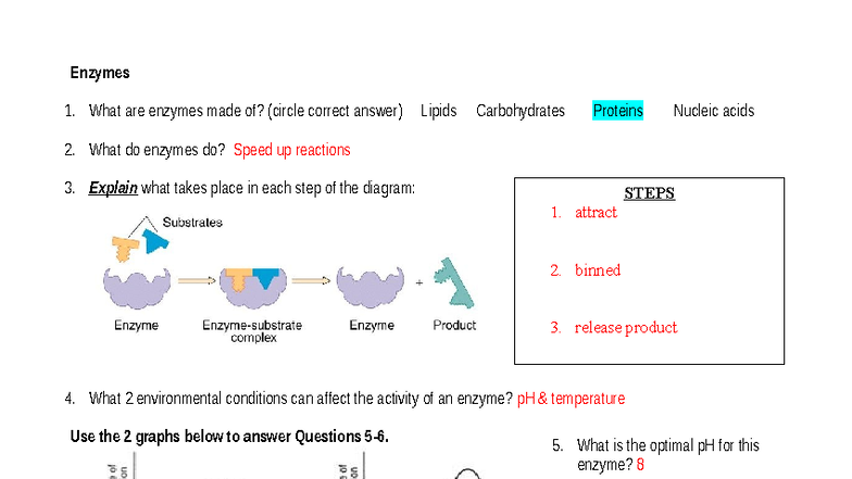 Enzyme Review: Key Concepts and Optimal Conditions - Studocu