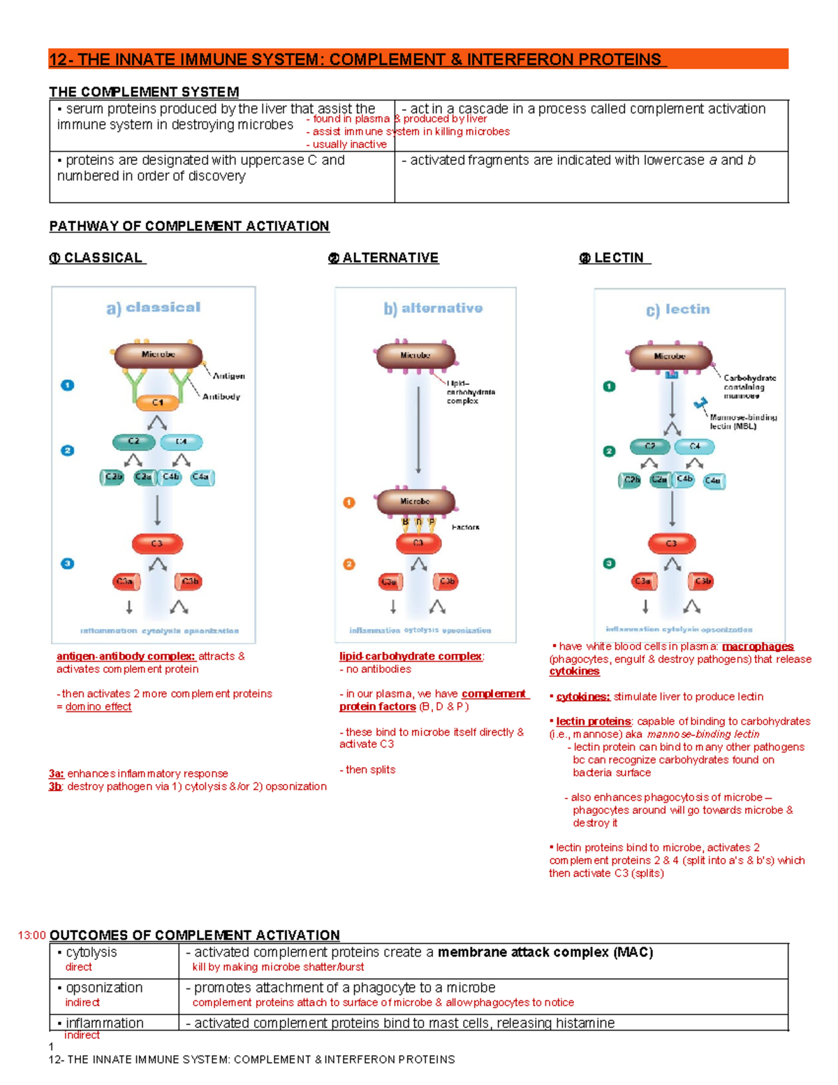 12- THE Innate System - micro - 12- THE INNATE IMMUNE SYSTEM ...