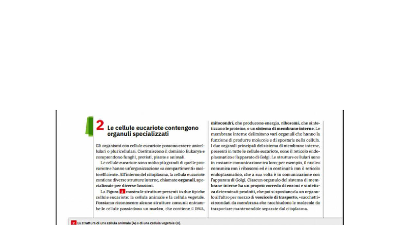 Comprehensive Study Guide for ABC 101: Eukaryotic Cells Overview - Studocu