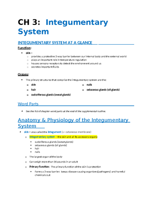 CH 10: Male Reproductive System & STIs - Word Analysis & Definitions ...