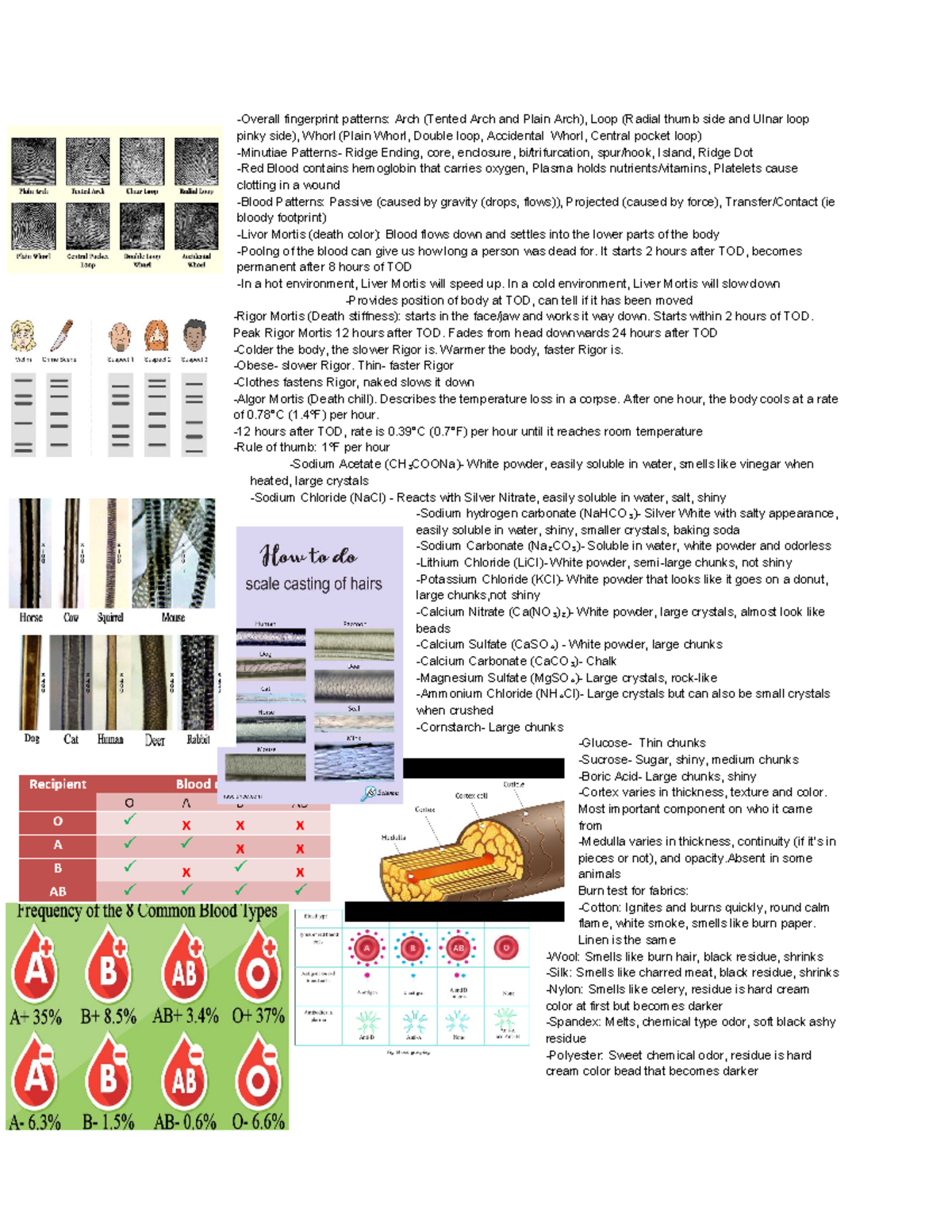 Forensics Note Sheet -Overall fingerprint patterns: Arch (Tented Arch ...