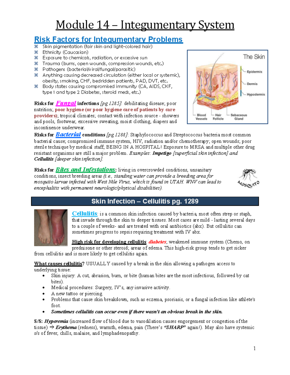 Patho Module 14: Integumentary System Risks and Nursing Considerations ...