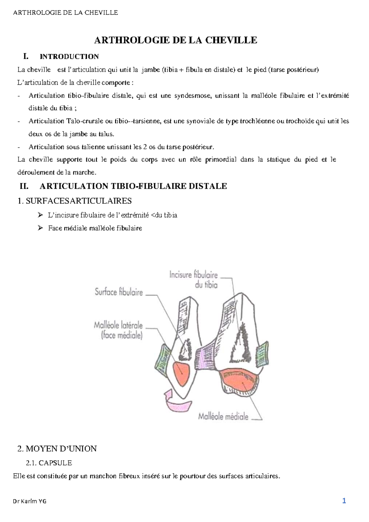 ARTHROLOGIE DE LA CHEVILLE - Notes de Cours et Anatomie Clinique - Studocu