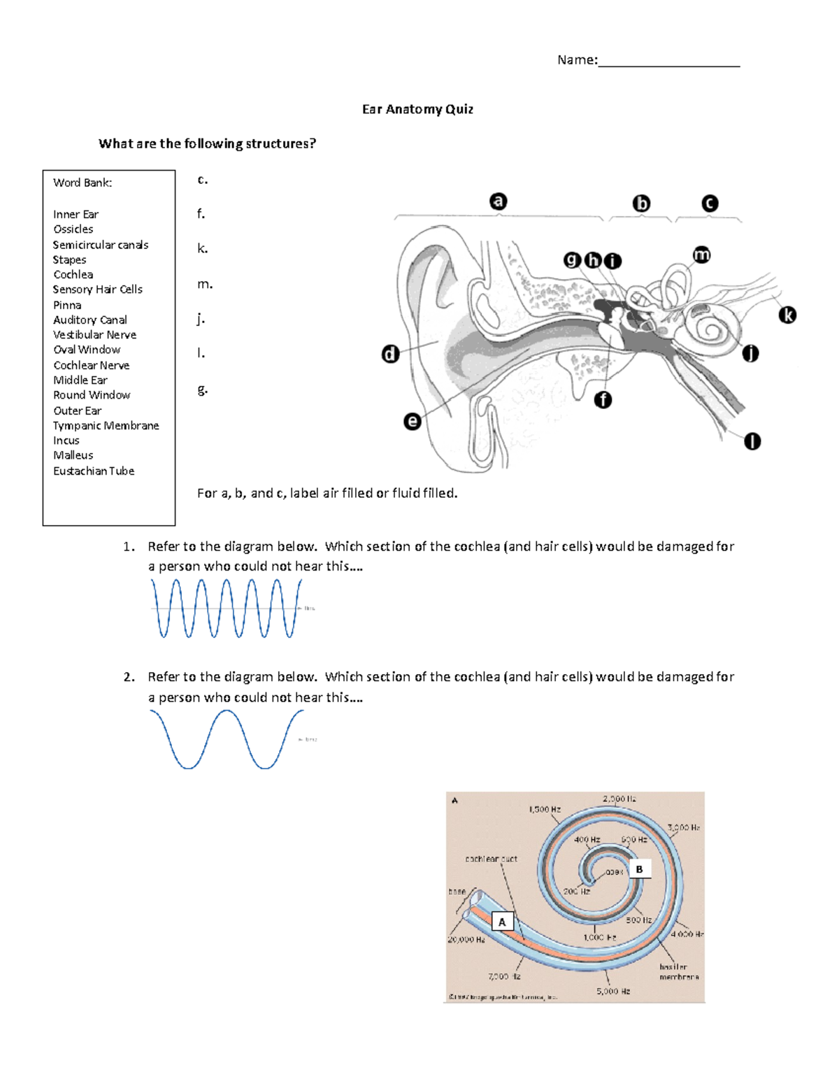 Ear Anatomy Quiz