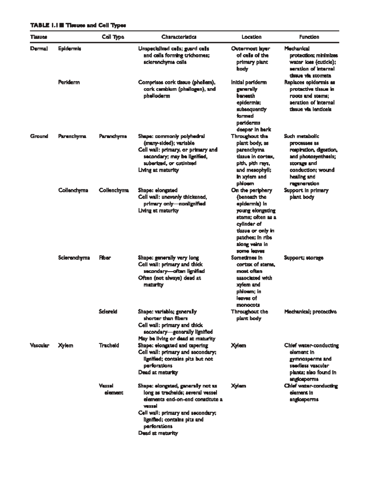 Anatomy Table: Key Differences in Tissues & Cell Types (BIO101) - Studocu