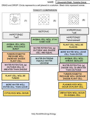 Character muscle activity 1 2 - Character Muscle Activity 1. Select a ...