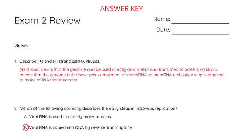 Exam 2 Review Key: Viruses, cDNA, and Cell Cycle Insights - Studocu