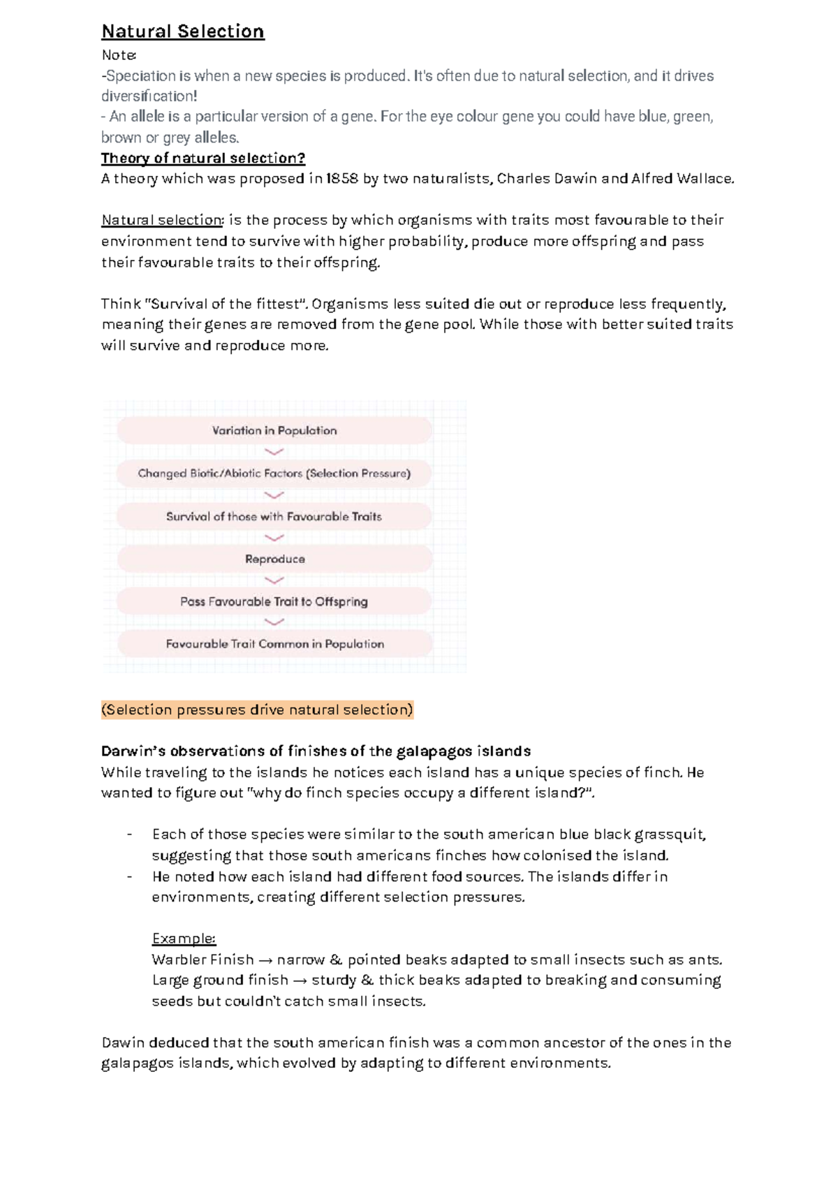 BIO M3 Natural Selection Study Notes: Evolution & Finch Adaptations ...