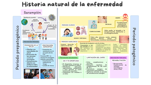 Tos Ferina (Tos Convulsiva): Información y Prevención 2025 - Studocu