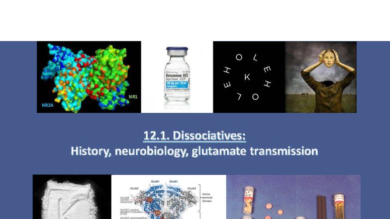 PBSI 336: Chapter 12 Notes on Dissociative Drugs & Mechanisms - Studocu