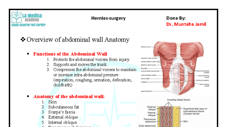 Abdominal Wall Anatomy & Hernia Overview: Inguinal Hernia Insights ...