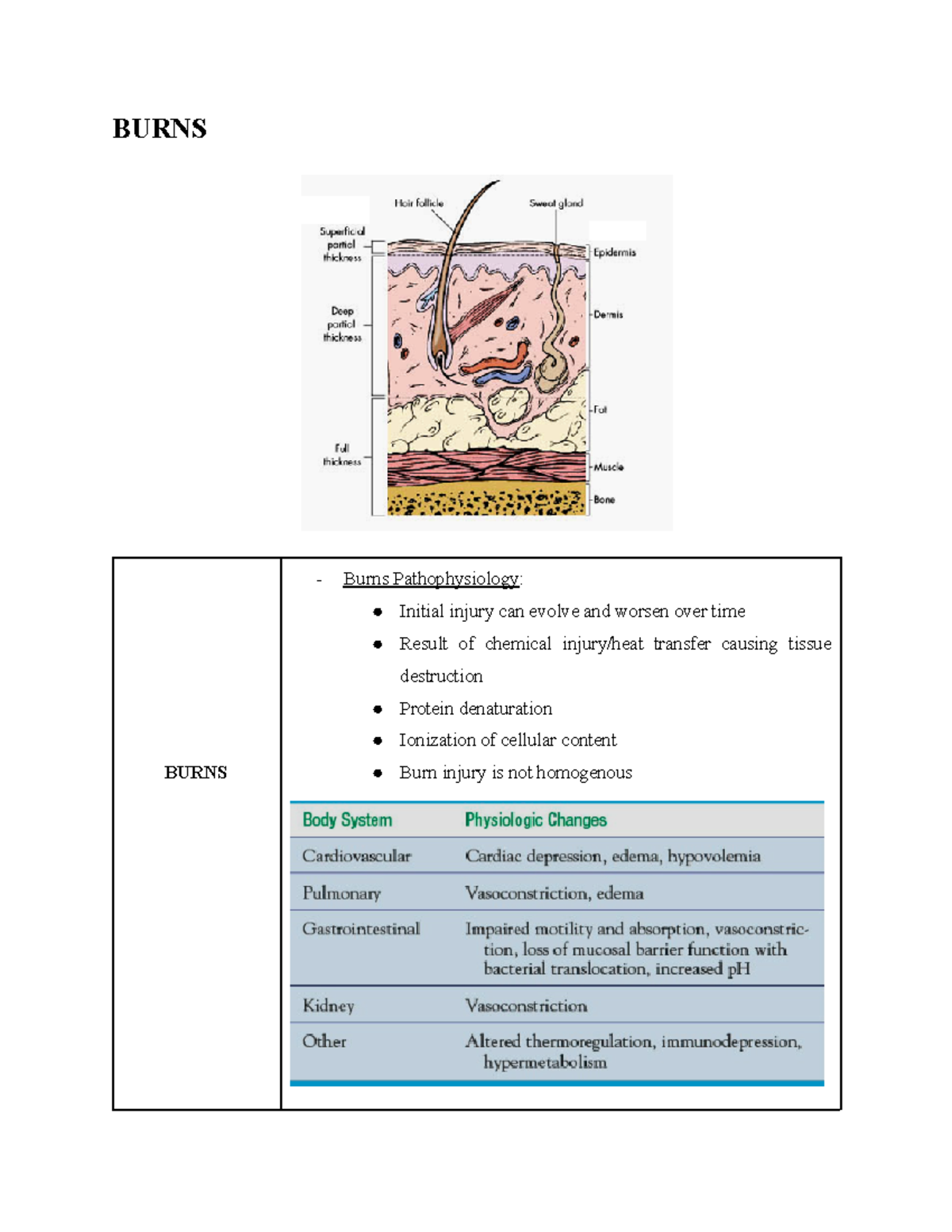 Med surg III burns (exam II) - BURNS BURNS Burns Pathophysiology ...