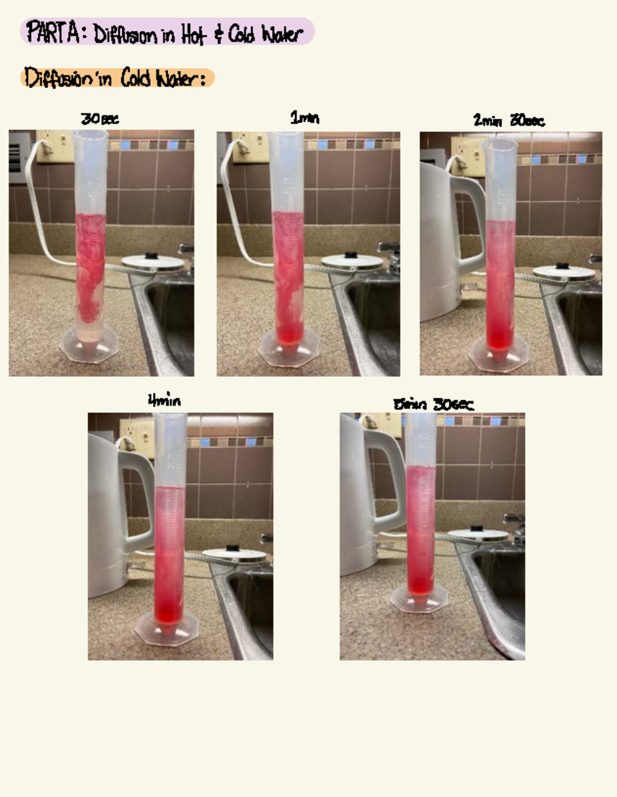 Diffusion Lab Report: Hot and Cold Water Experiments - Studocu