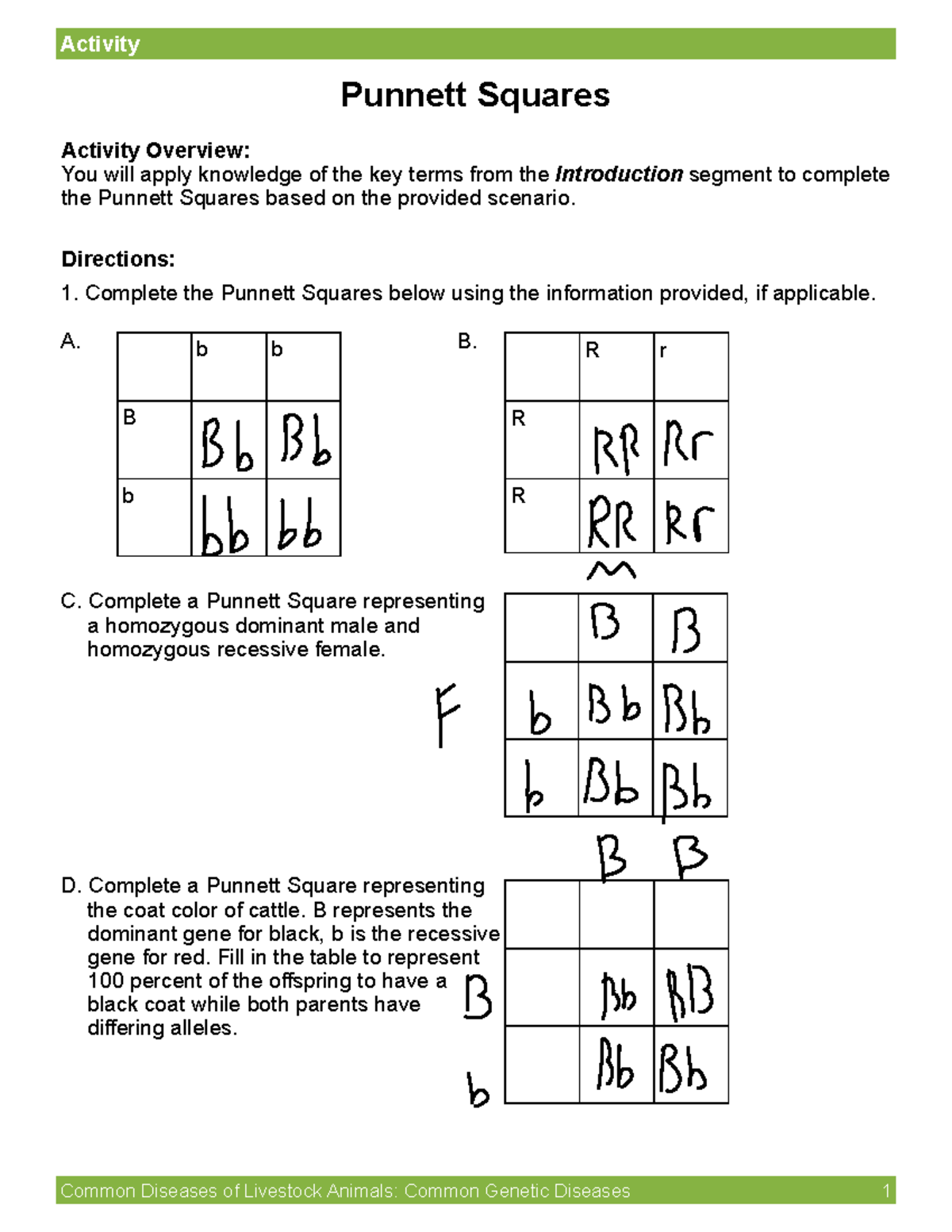 Punnett Squares Activity Overview for Genetics Study - Studocu