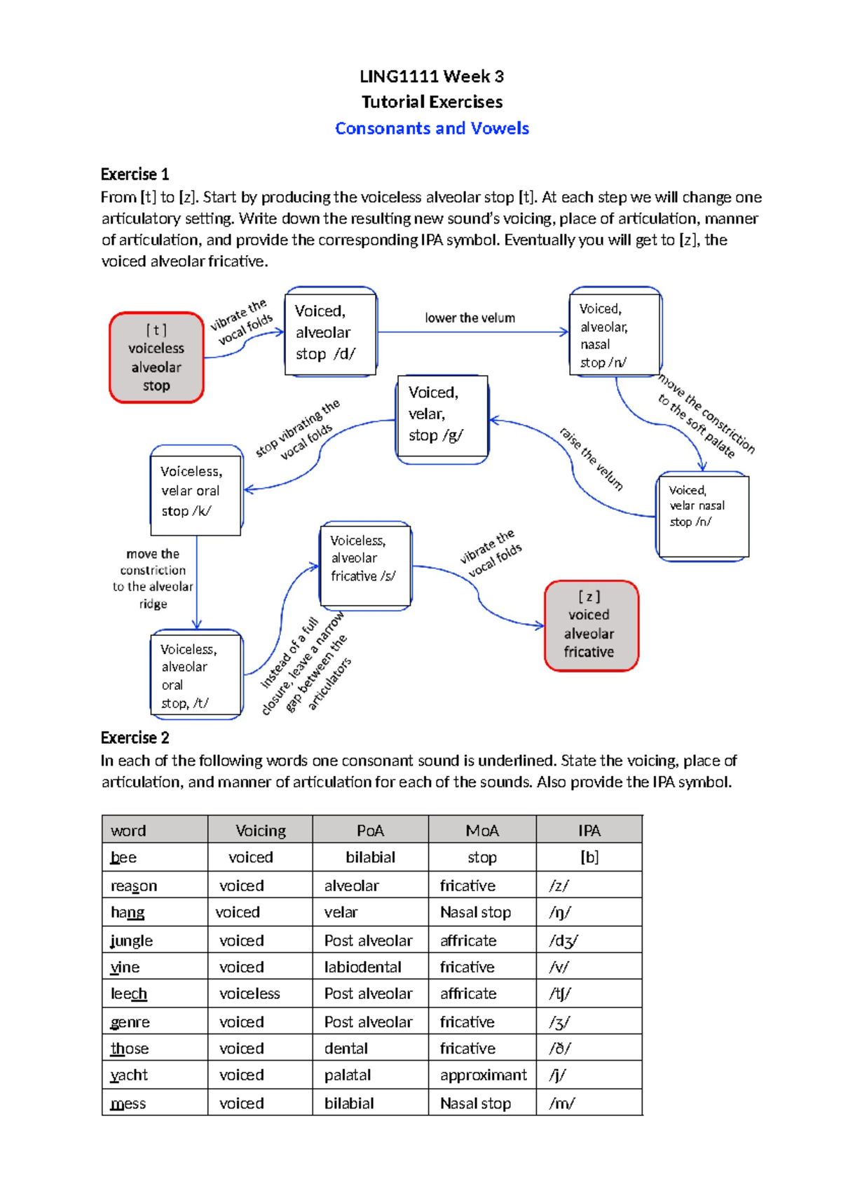 LING1111 Week 3 Tutorial Exercises: Consonants & Vowels Analysis - Studocu