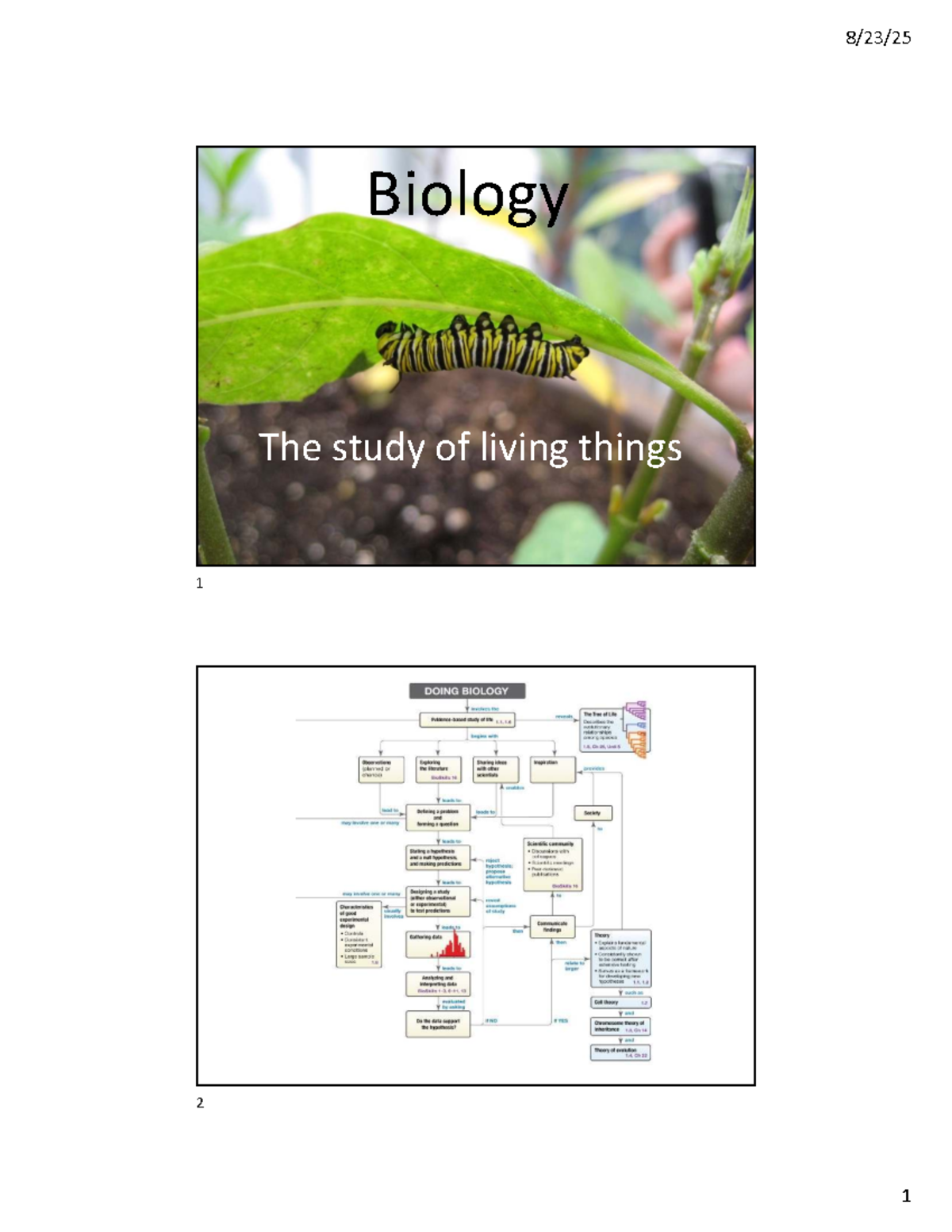 Biology 101: Unifying Concepts & Characteristics of Life - Studocu
