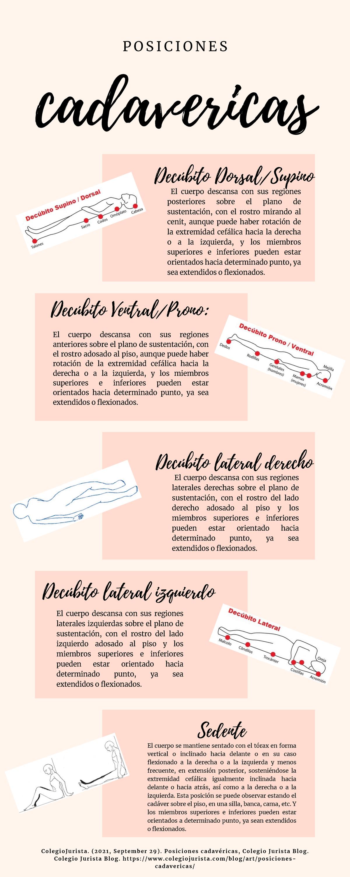 Posiciones Cadavéricas: Tipos y Descripción de Posturas Corporales ...