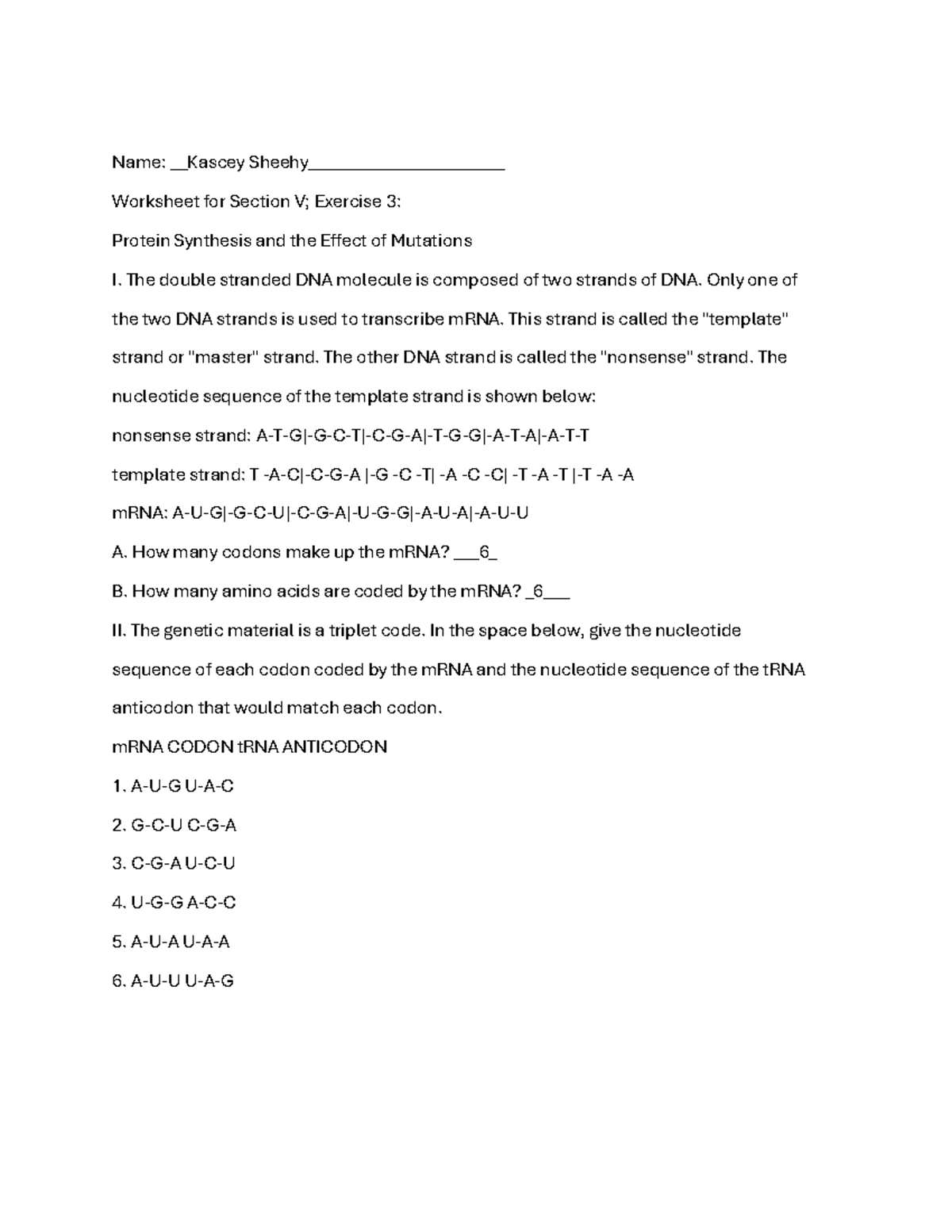 Extra credit worksheet for section V: Protein synthesis and mutations ...