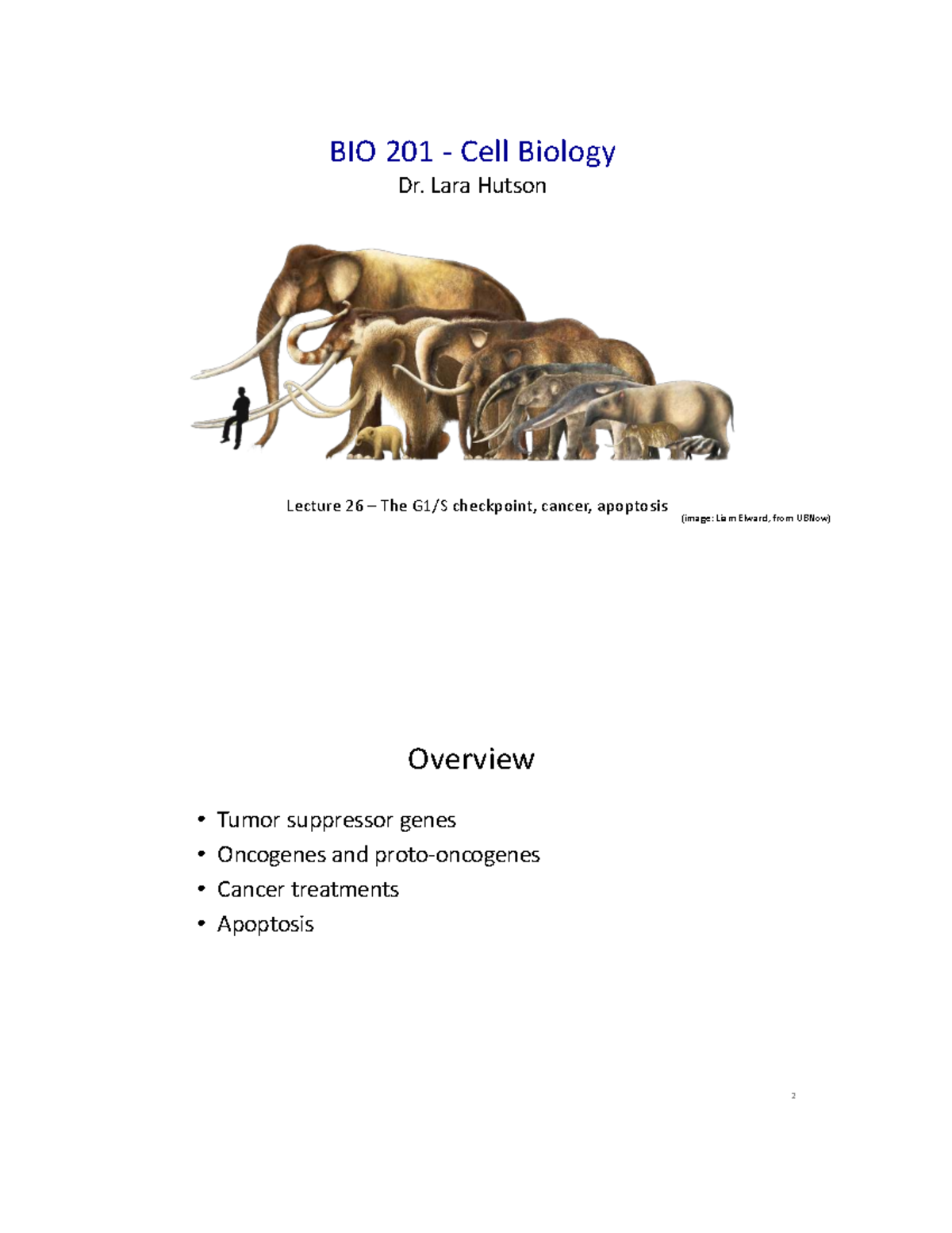 BIO201 Lecture 26: Checkpoints, Cancer, and Apoptosis Overview - BIO ...