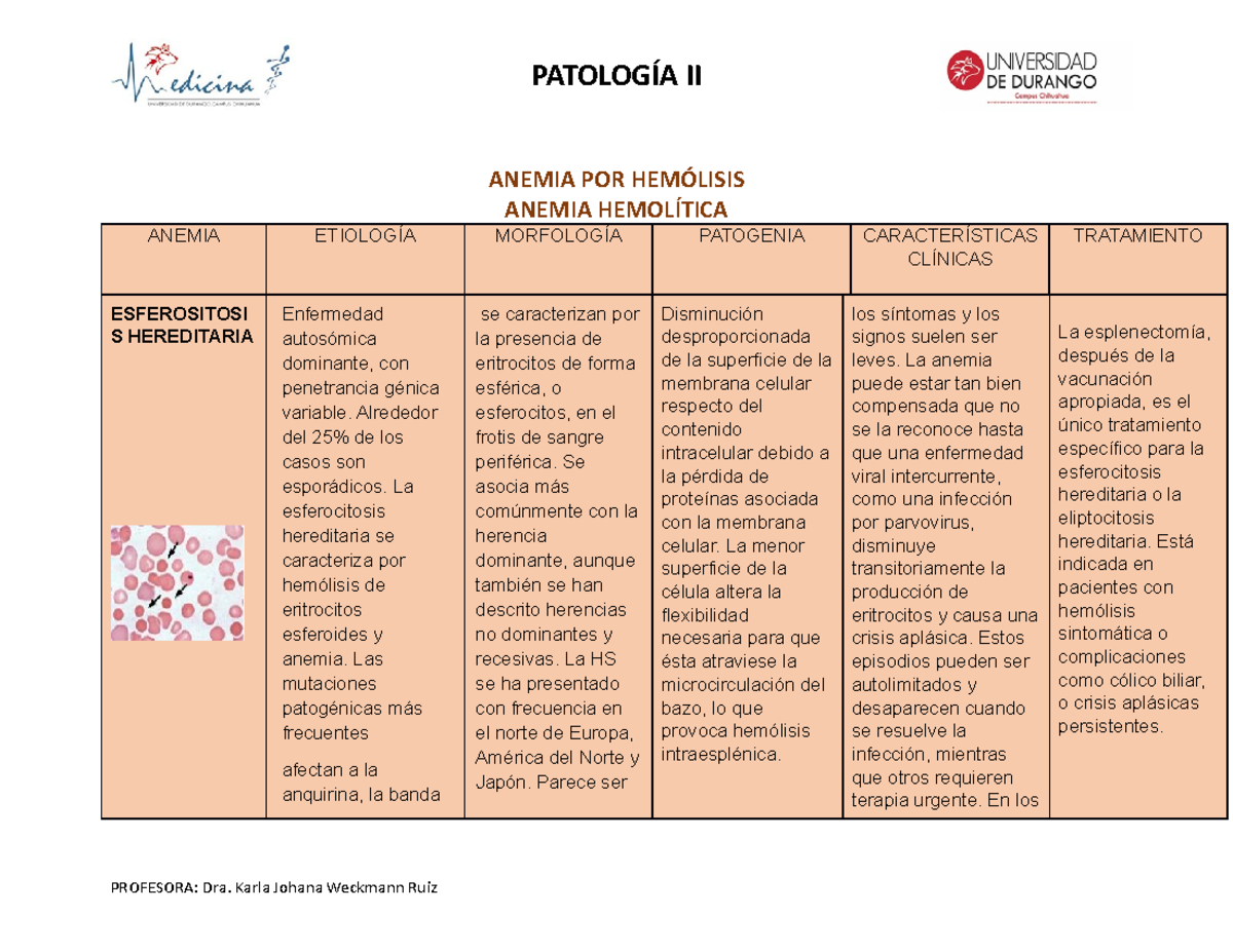 Anemia y Hemólisis: Estudio del Equipo 6 sobre Etiología y Tratamientos ...