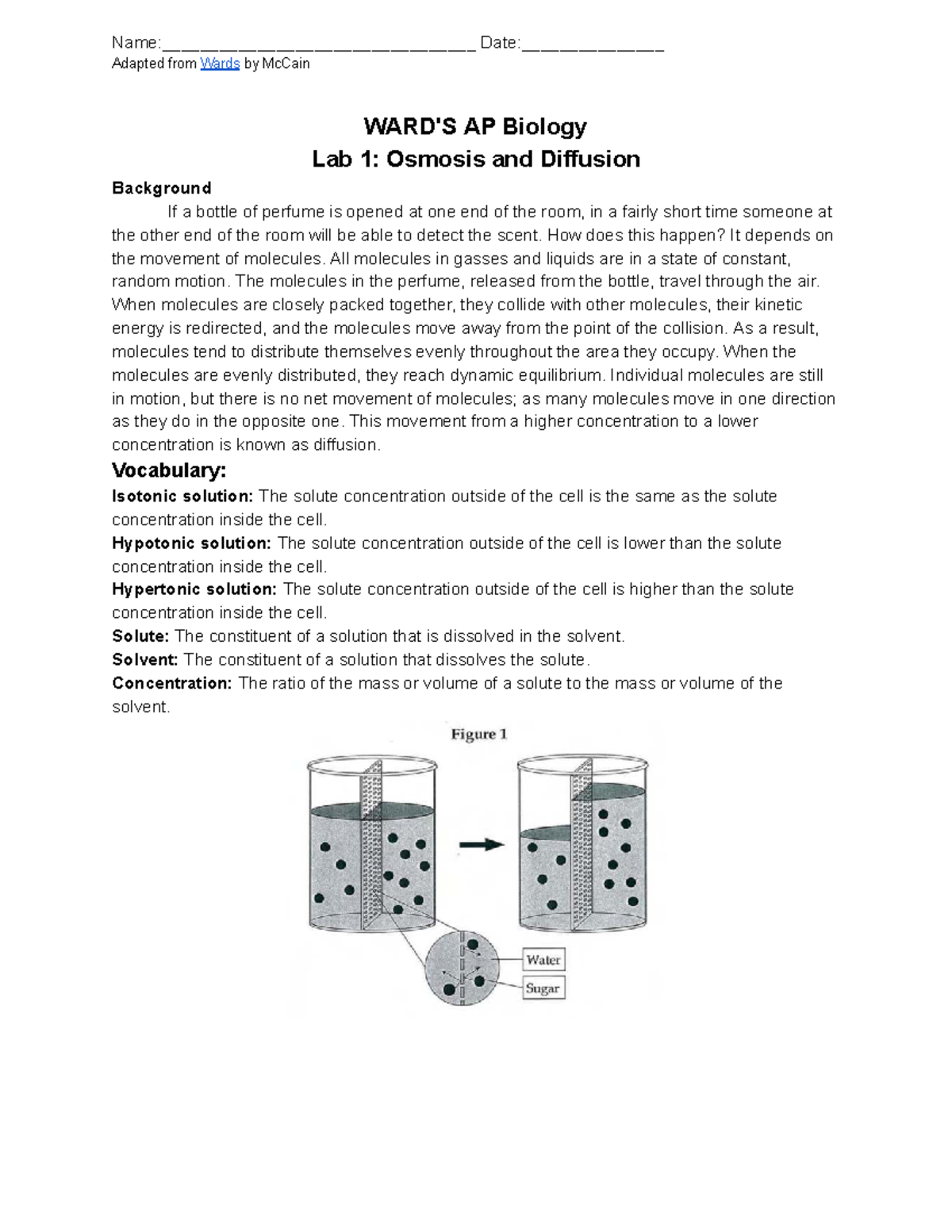 2025 AP Biology Lab: Osmosis and Diffusion Study Guide - Studocu