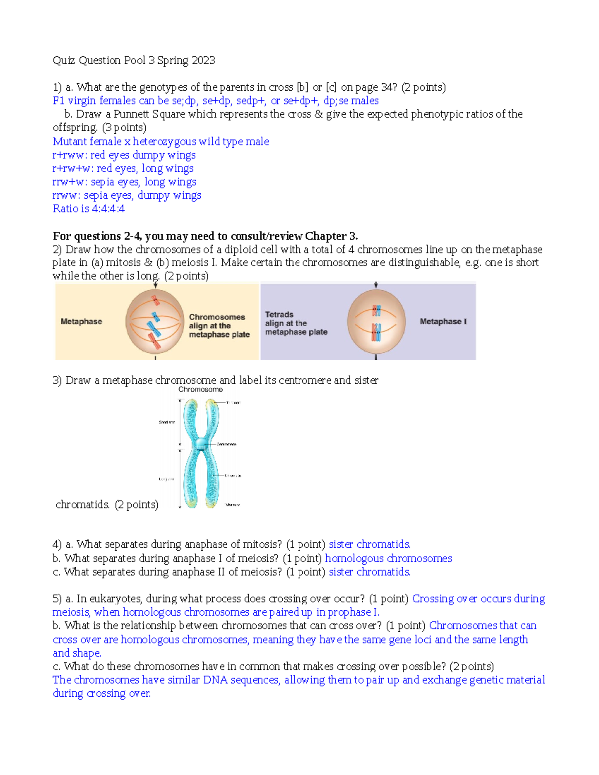 Quiz 3 Question Pool for Spring 2023 Genetics Course - Studocu