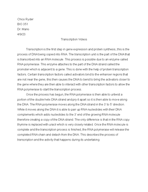 Photosynthesis Pogil - Key - BIOL 412 - Studocu