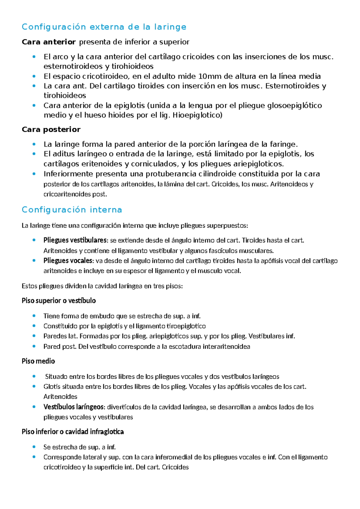 Configuración, Irrigación, Inervación y Anatomía Funcional de la ...