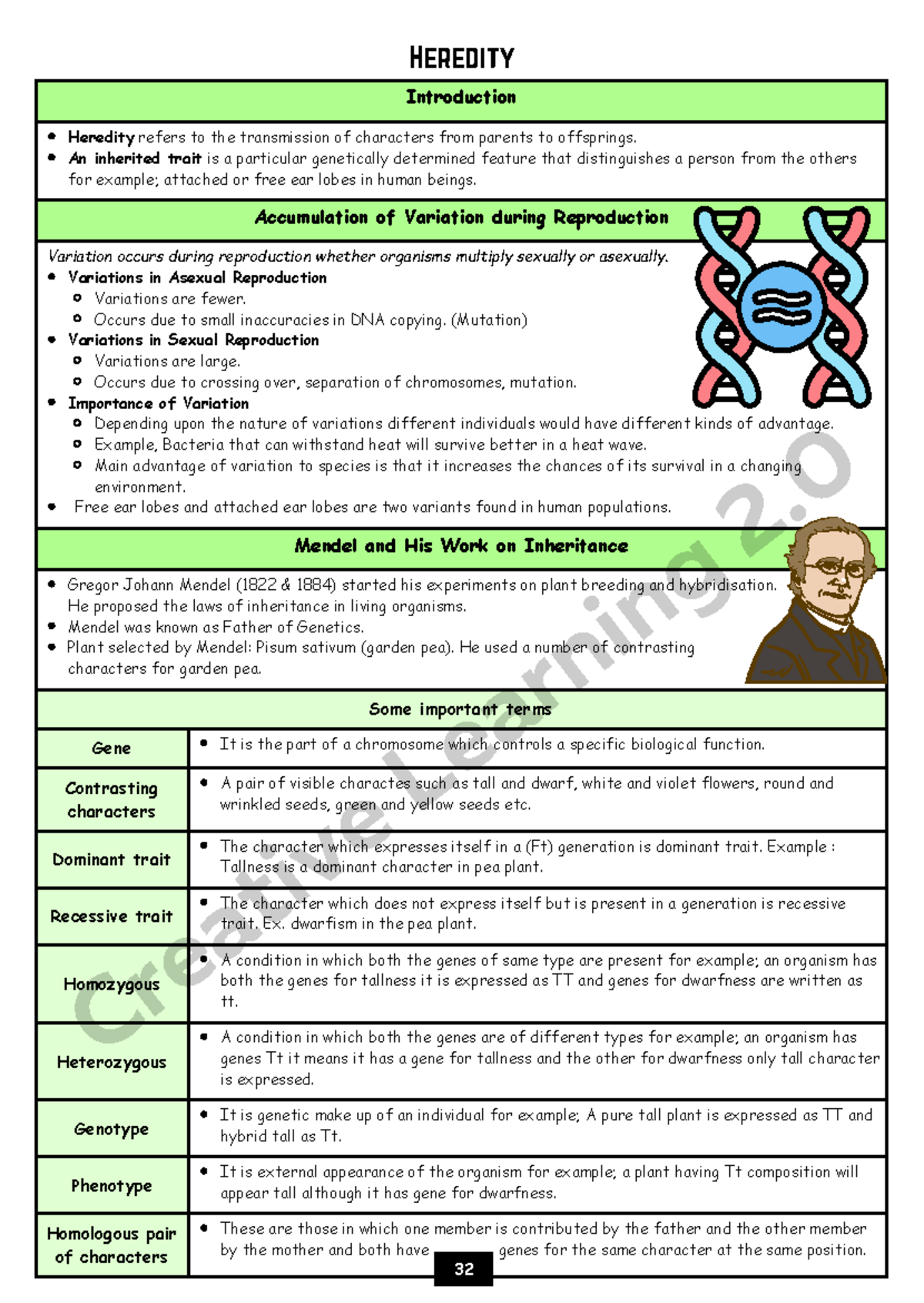 Heredity and Mendelian Genetics Overview - BIO101 Lecture Notes - Studocu