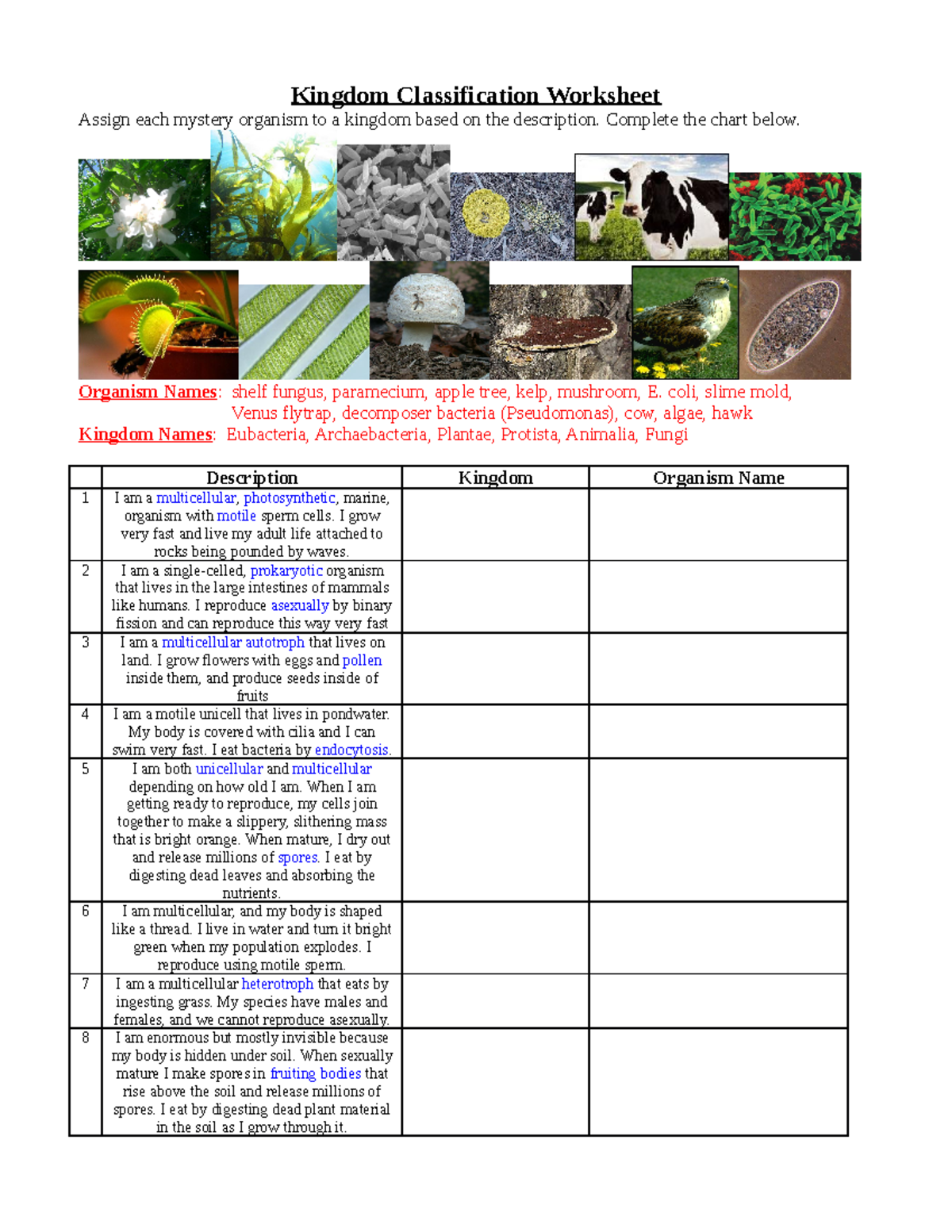 Kingdom Classification Worksheet: Organism Assignments and Descriptions ...