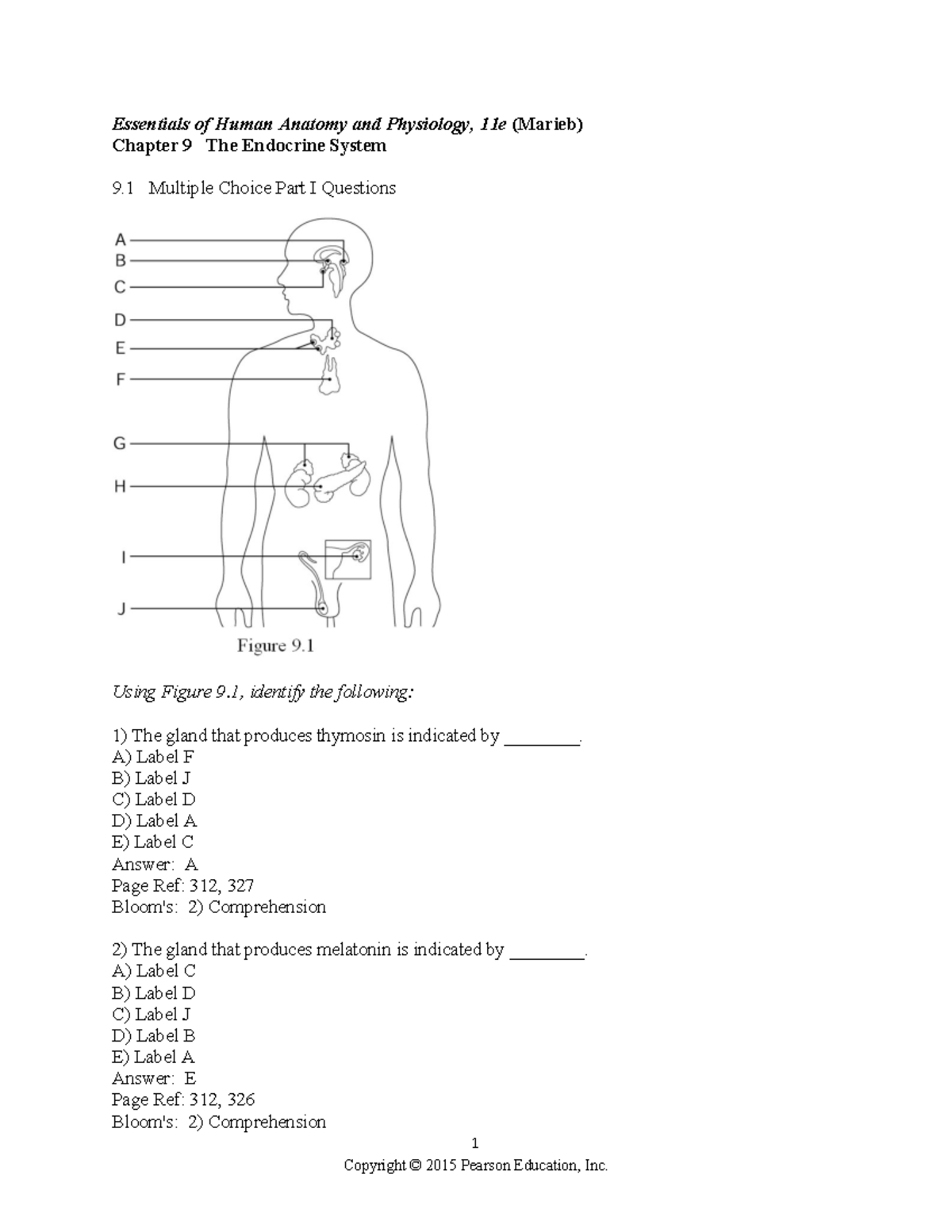 Chapter 9 - The Endocrine System MCQs & Answers (Essentials of A&P ...