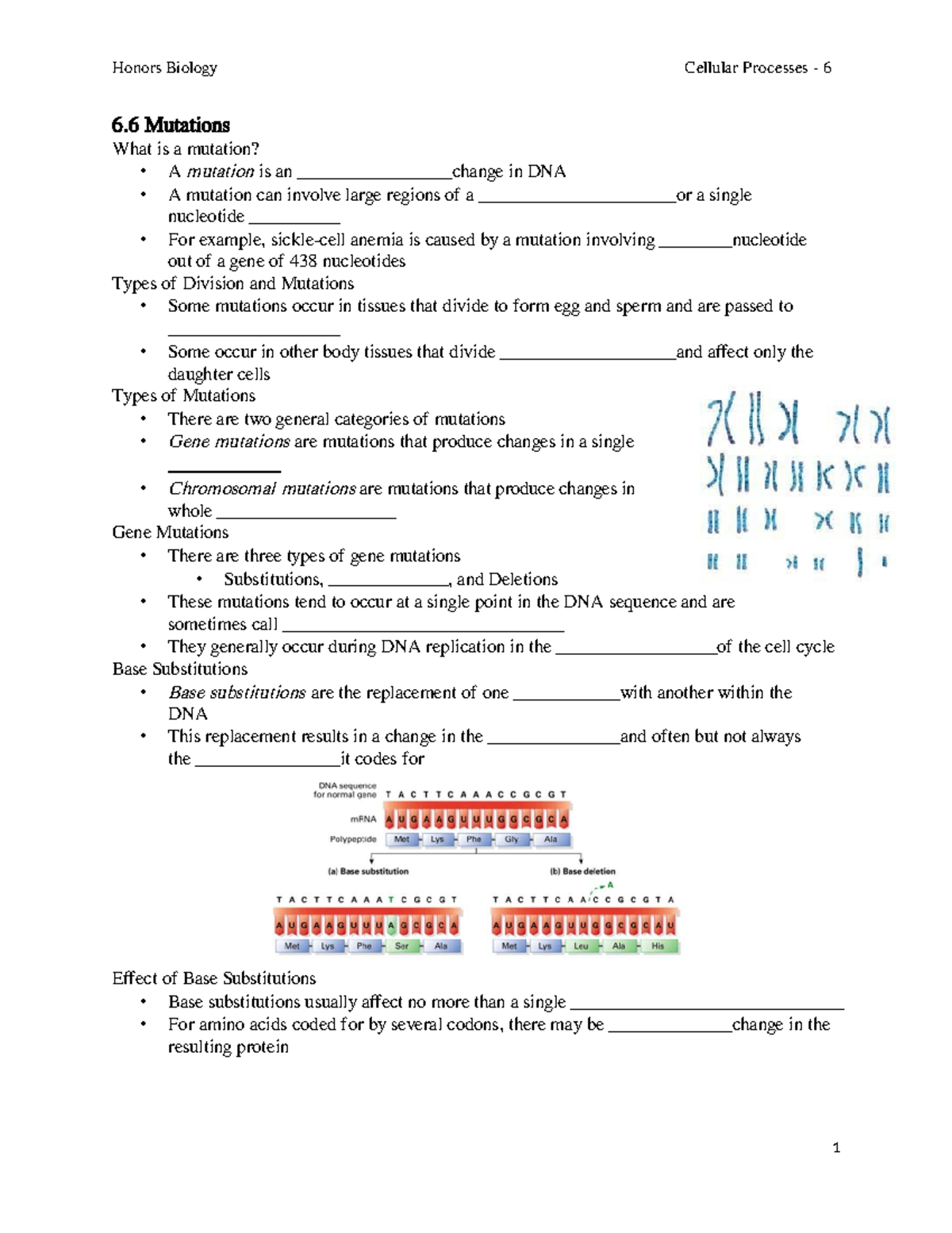 Honors Biology 6.6 Notes: Understanding Mutations and Their Types - Studocu