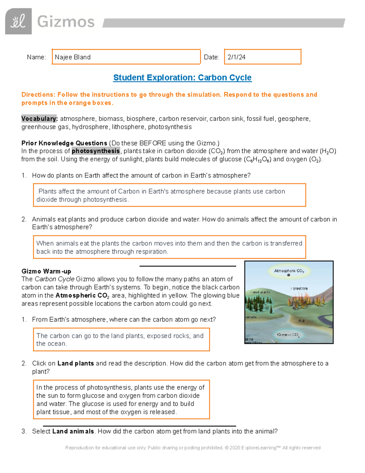 Carbon Cycle Student Exploration Guide (SE) - Studocu