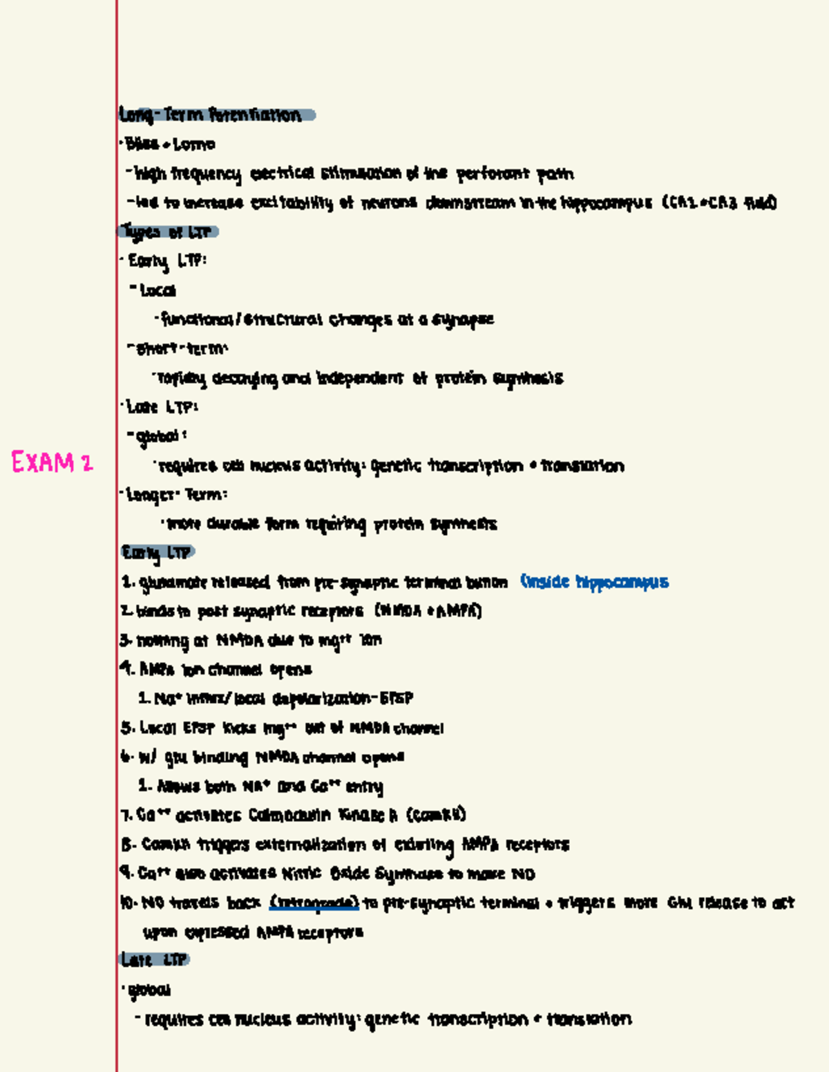 Long-Term Potentiation Mechanisms and Types Overview (EXAM2) - Studocu