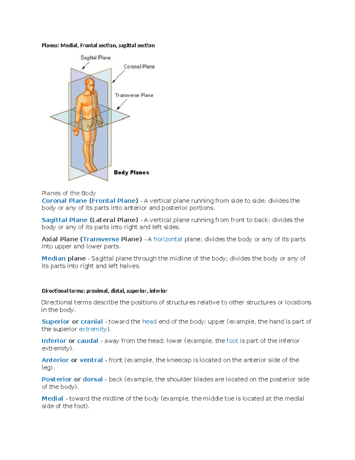 Planes of the Body and Directional Terms: Anatomy Overview - Studocu