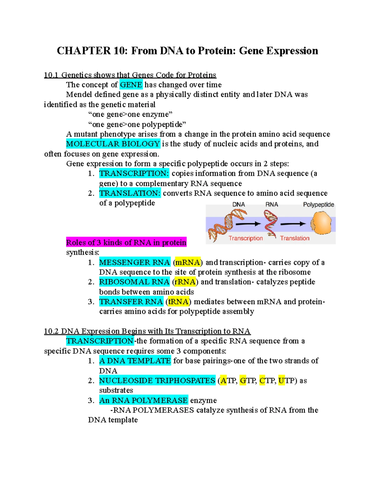 Lizard Evolution Virtual Lab 2021 - BioInteractive February 2015 Page 1 ...