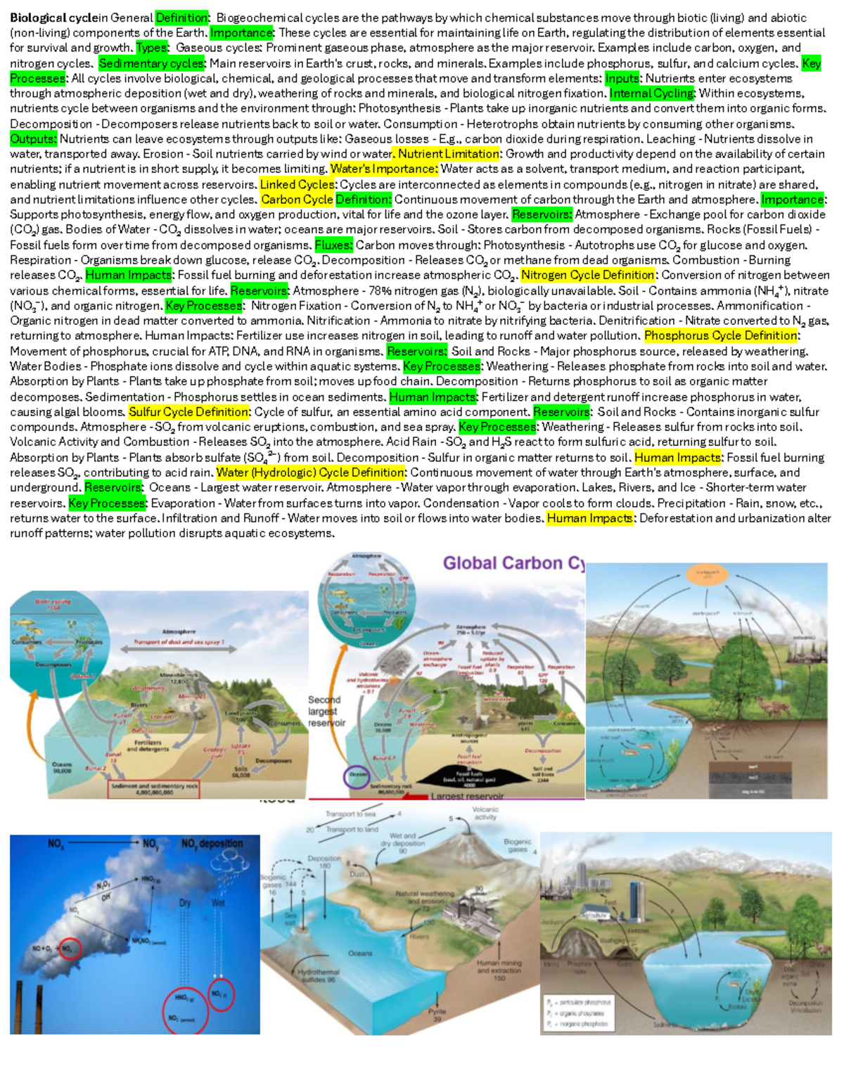 Environmental Science Cheat Sheet: Biogeochemical Cycles Explained ...