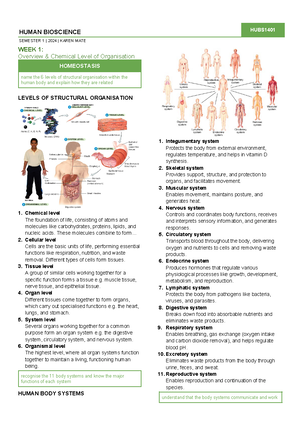 Bioscience Cheat Sheet: Structural Levels & Homeostasis in the Human ...
