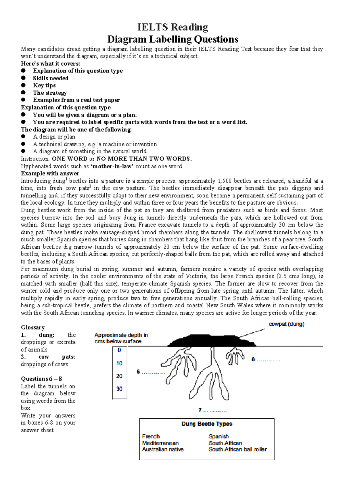 637174395 IELTS Reading Diagram Labelling Questions - Key Strategies ...