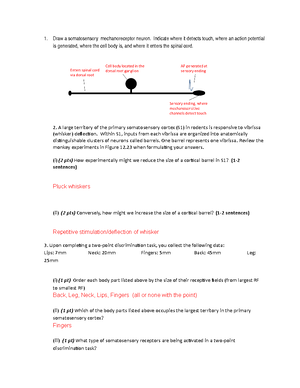 Visual Pathway Chart - RGC Type LGN Type LGN Layers V1 Layers Function ...