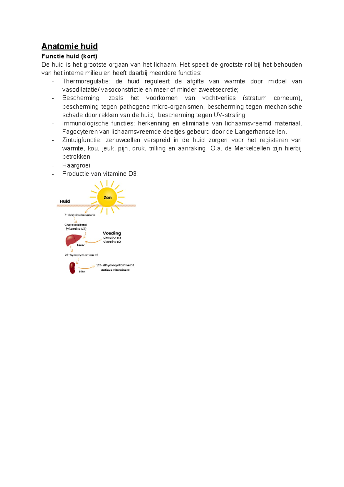 Week 2: Anatomie Huid en Dermatologische Aandoeningen - Studeersnel