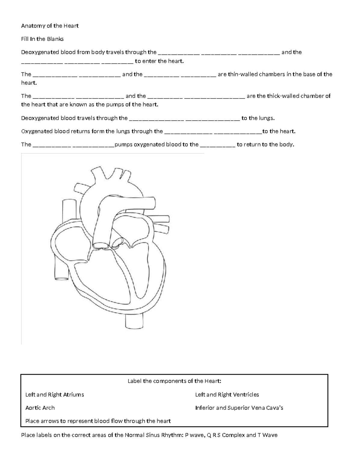 Anatomy of the Heart Module 1 Exercise-1 Rev 11/2023 - Studocu