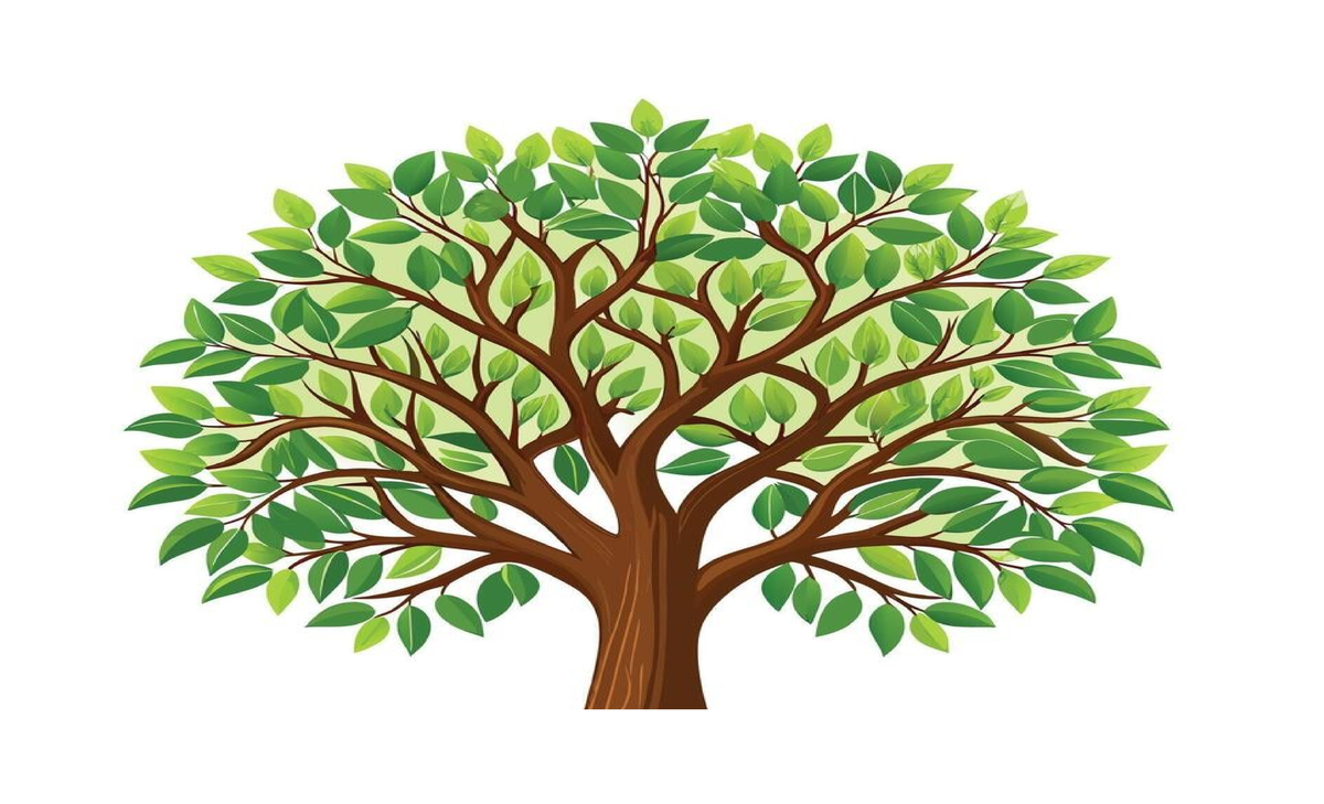 Tree - ergerg - Mathématiques - YORK WE - Studocu