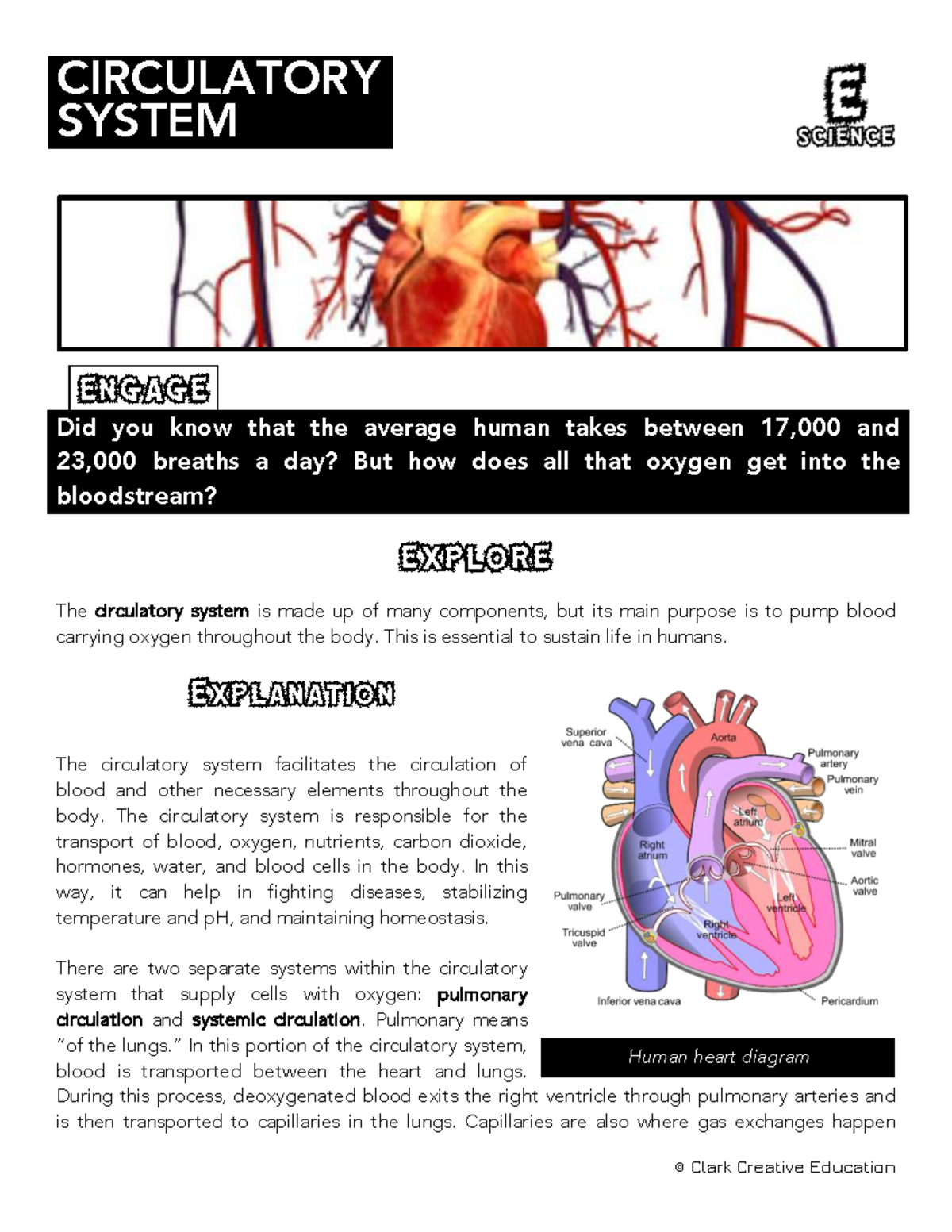 Circulatory system reading notes for biology 101 - Studocu