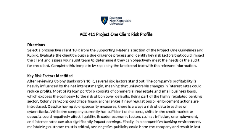 ACC 411 Project One: Client Risk Profile Analysis and Audit Team ...